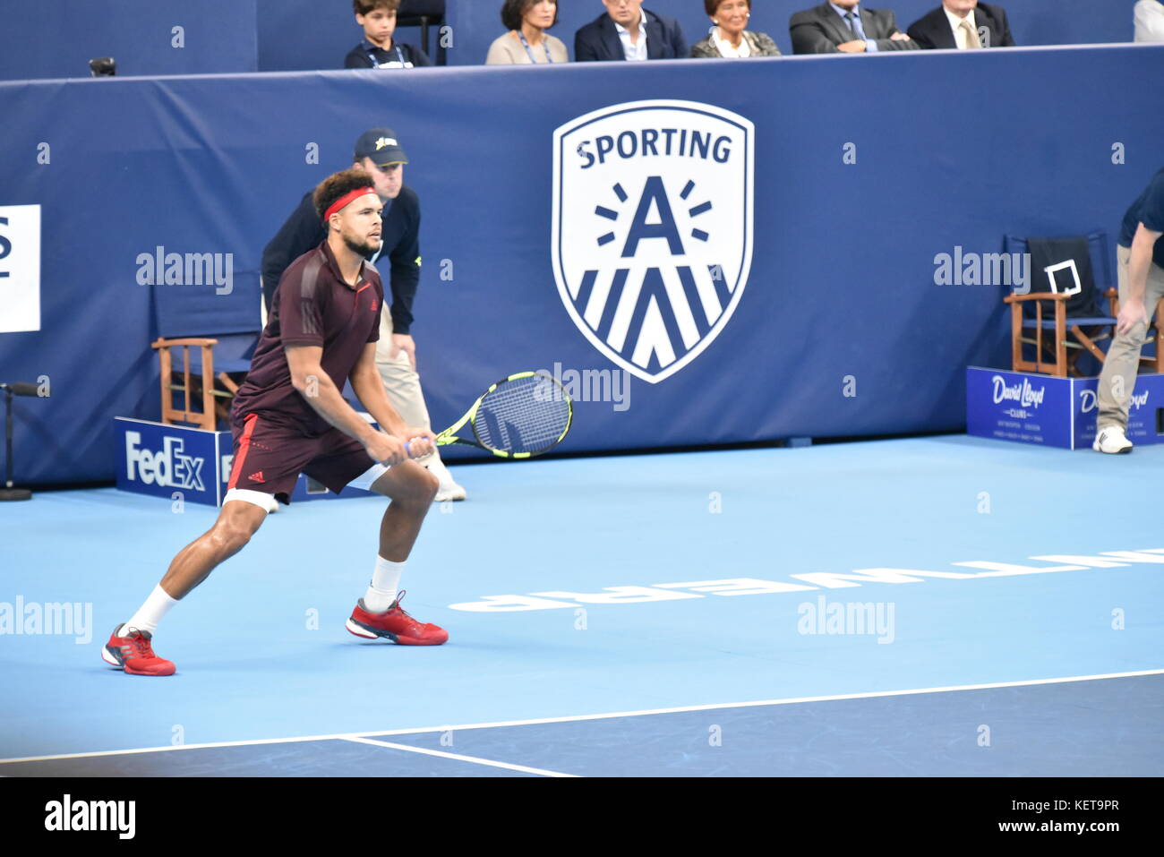 European Open - ATP World Tour 250 Series - Antwerp Belgium Stock Photo ...