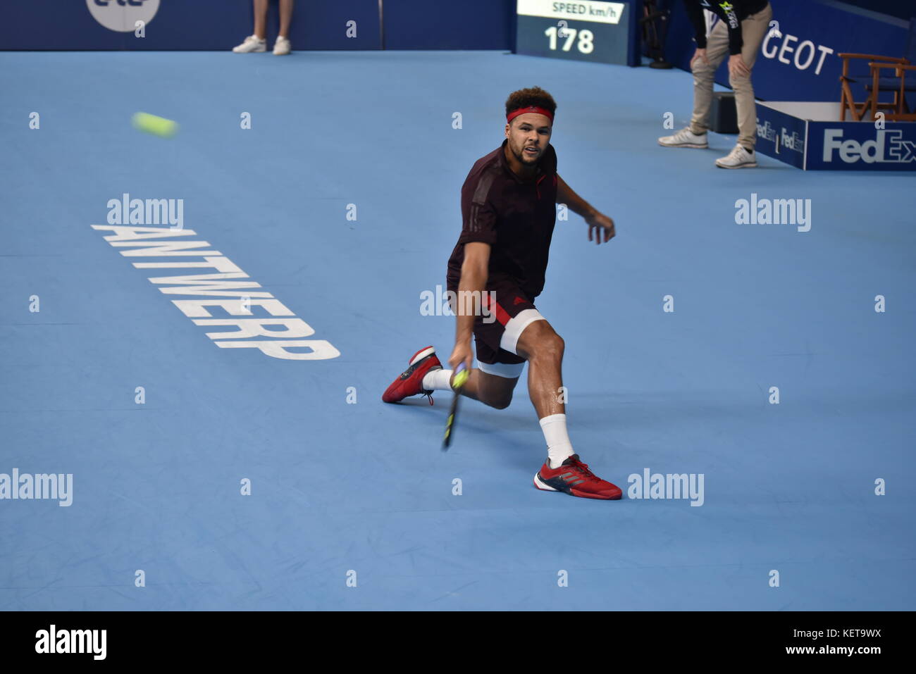 European Open - ATP World Tour 250 Series - Antwerp Belgium Stock Photo ...