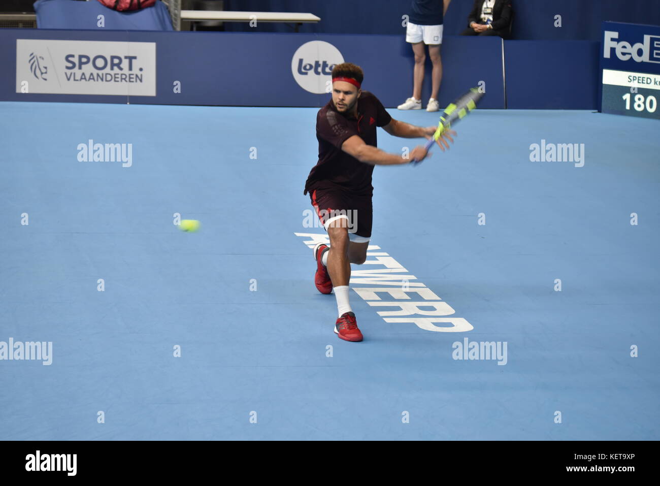 European Open - ATP World Tour 250 Series - Antwerp Belgium Stock Photo ...
