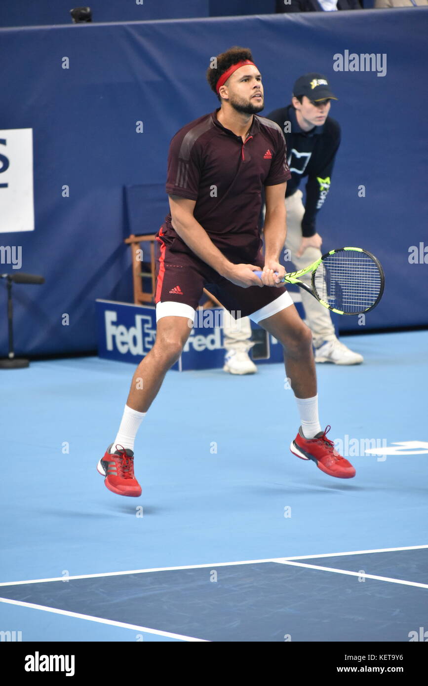 European Open - ATP World Tour 250 Series - Antwerp Belgium Stock Photo ...