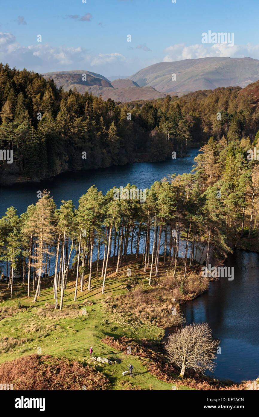 The tarns at Tarn Hows Stock Photo - Alamy