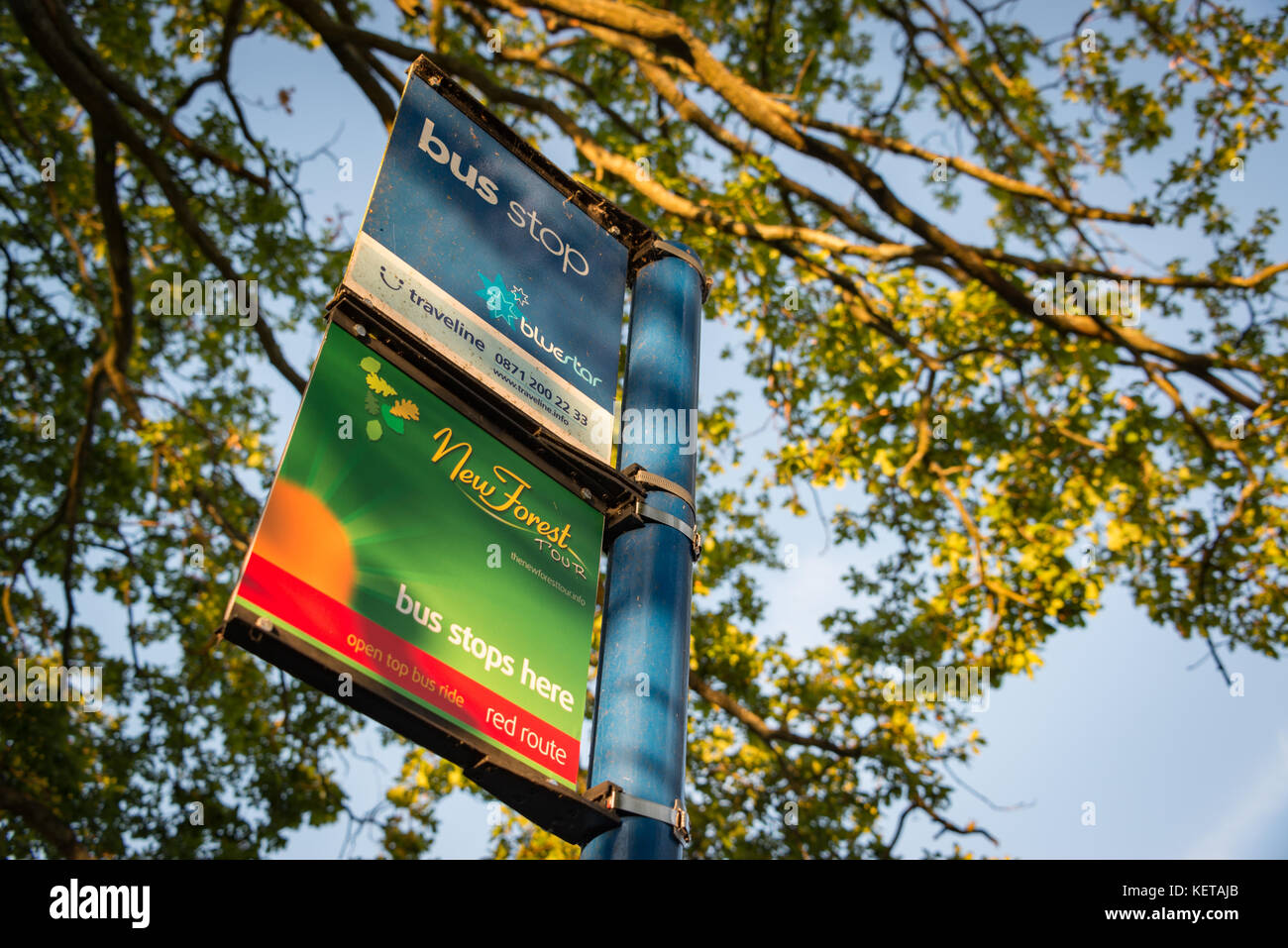 New forest bus hi-res stock photography and images - Alamy