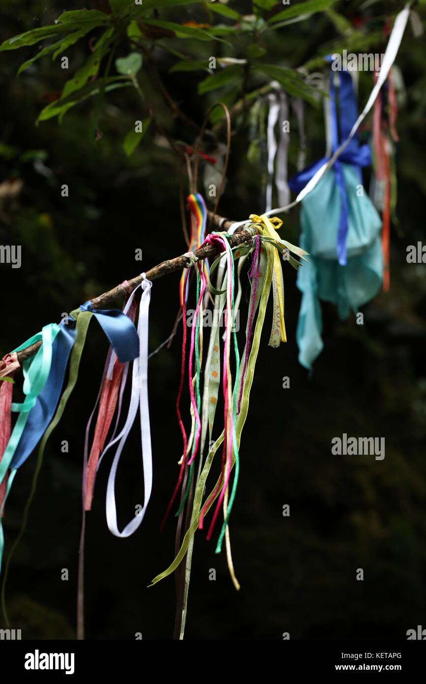 Clootie hi-res stock photography and images - Alamy