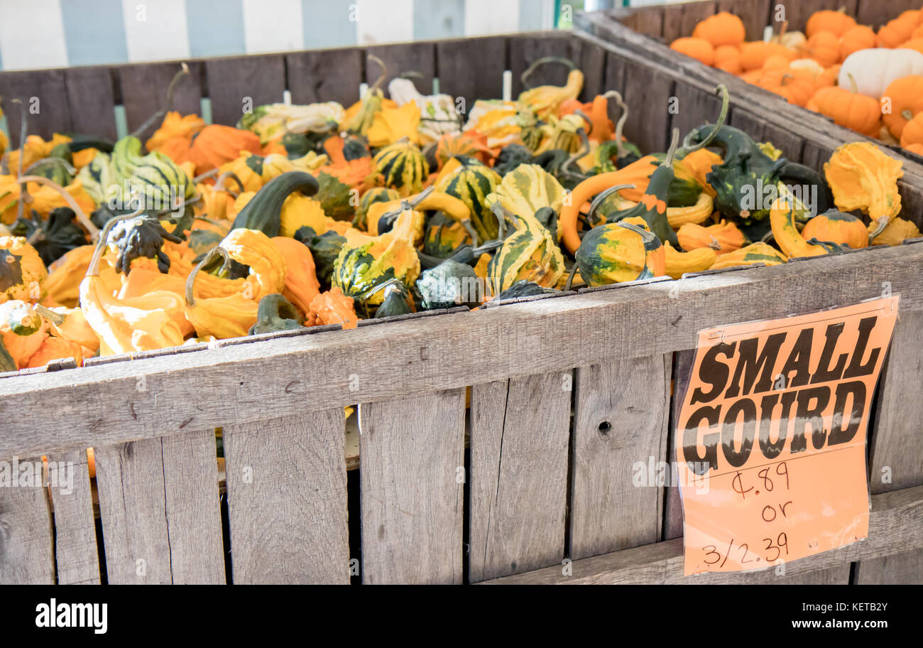 Pile Ornamental Gourds High Resolution Stock Photography and Images - Alamy