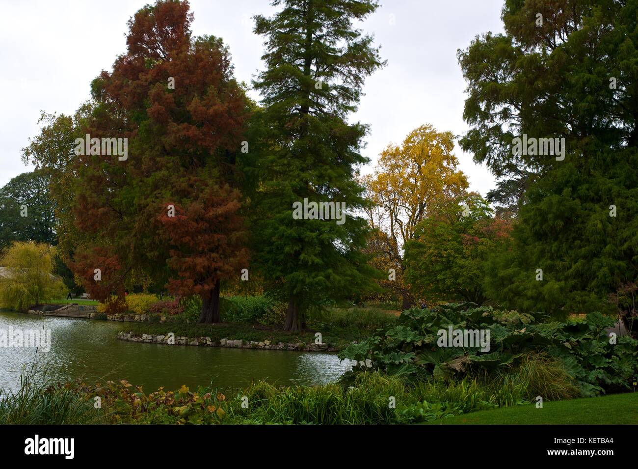 Chiltern Estate, National Trust Stock Photo - Alamy