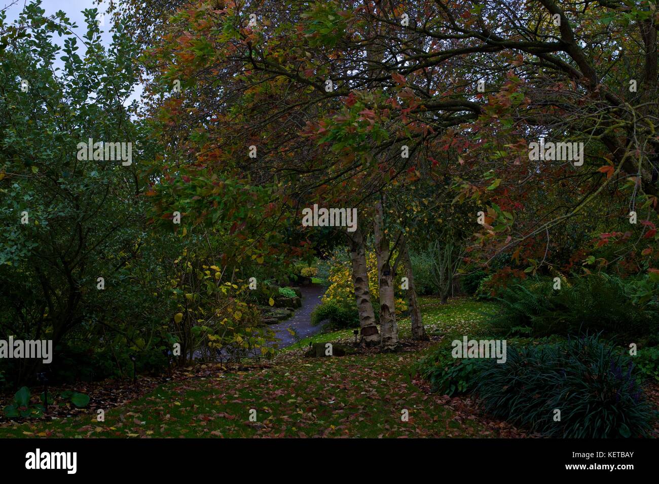 Chiltern Estate, National Trust Stock Photo - Alamy