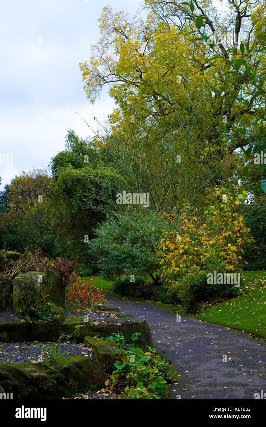 Chiltern Estate, National Trust Stock Photo - Alamy