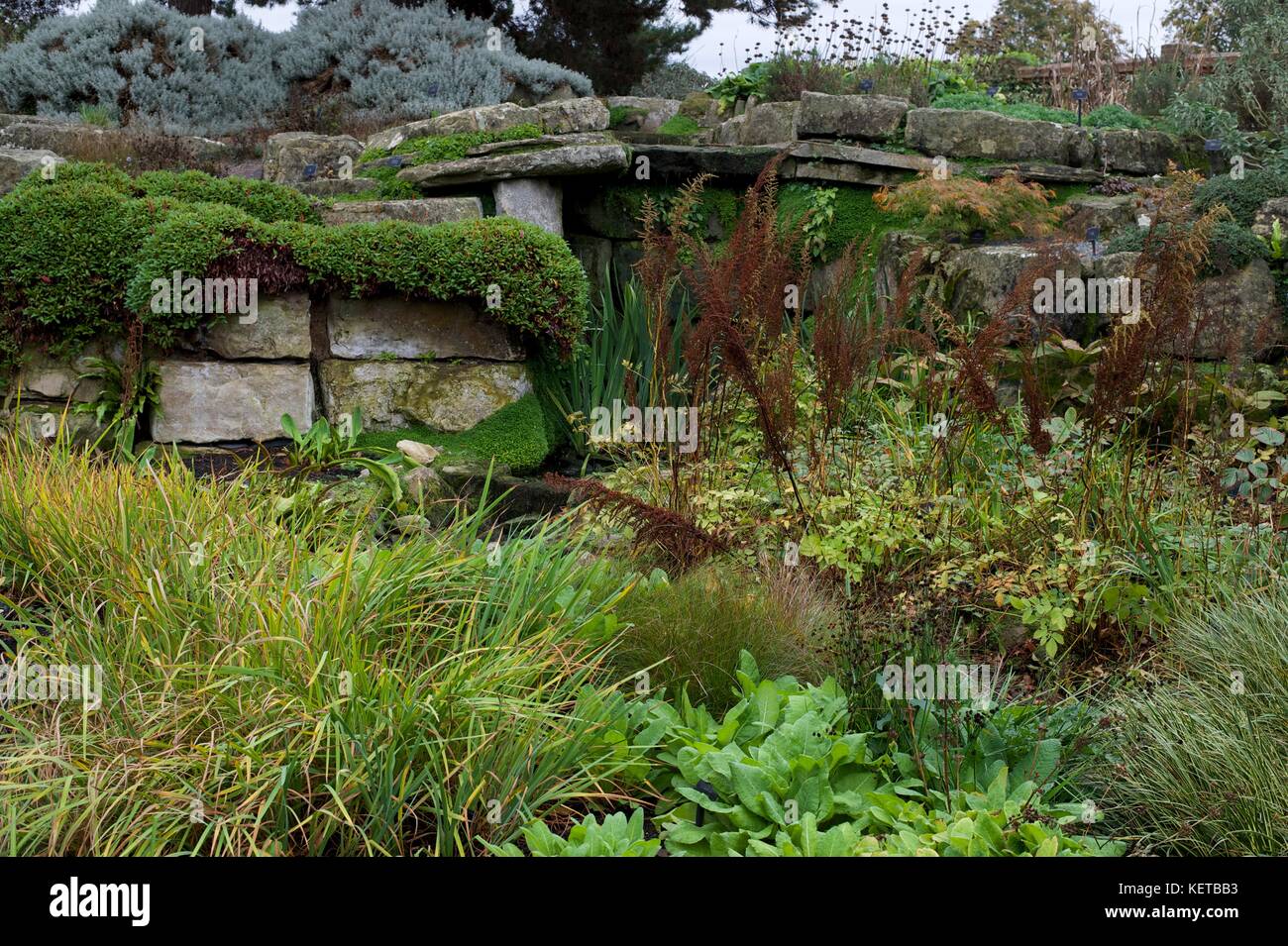 Chiltern Estate, National Trust Stock Photo - Alamy