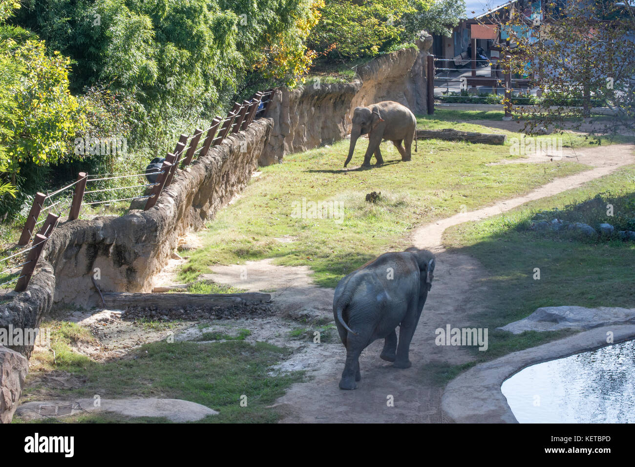National Zoo Elephant Exhibit