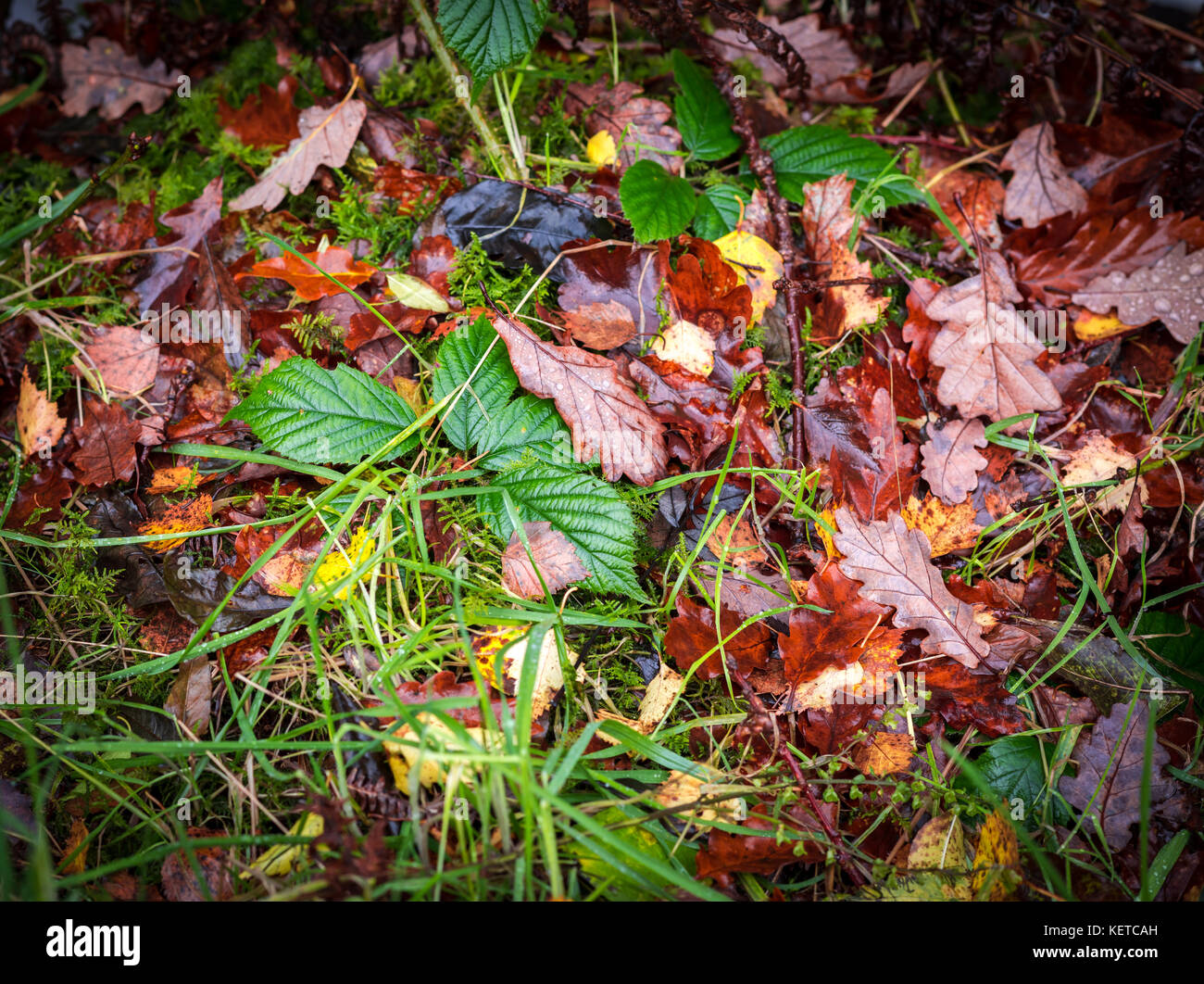 Still after the storm hi-res stock photography and images - Alamy