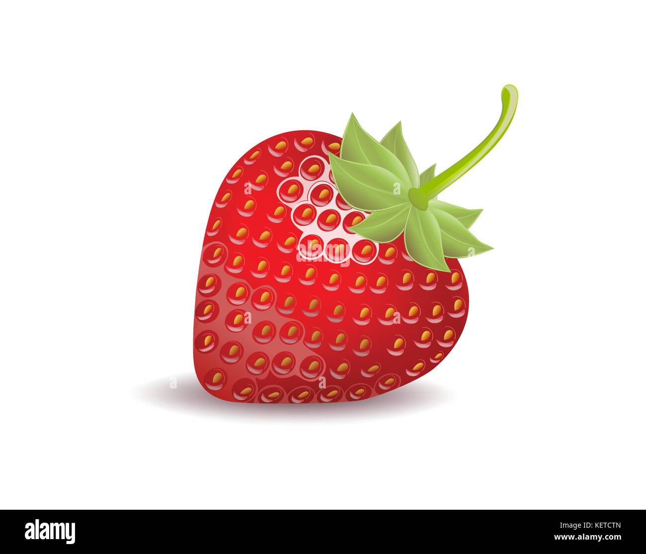 Strawberry. Vector illustration Stock Vector Image & Art - Alamy