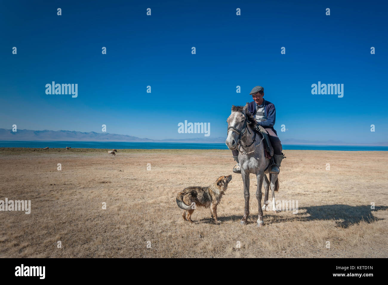 Horse Rider and Dog (Nomad Stock Photo - Alamy