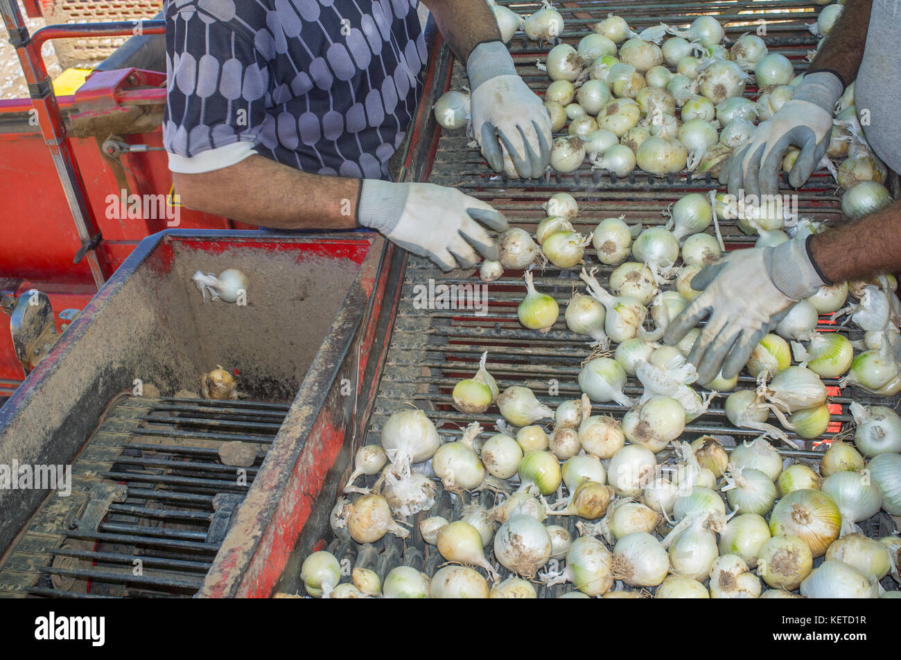 Conveyor operators hi-res stock photography and images - Alamy