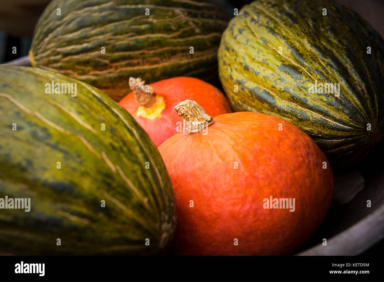 Various ripe pumpkins displayed during farmers market. Fresh bio ...