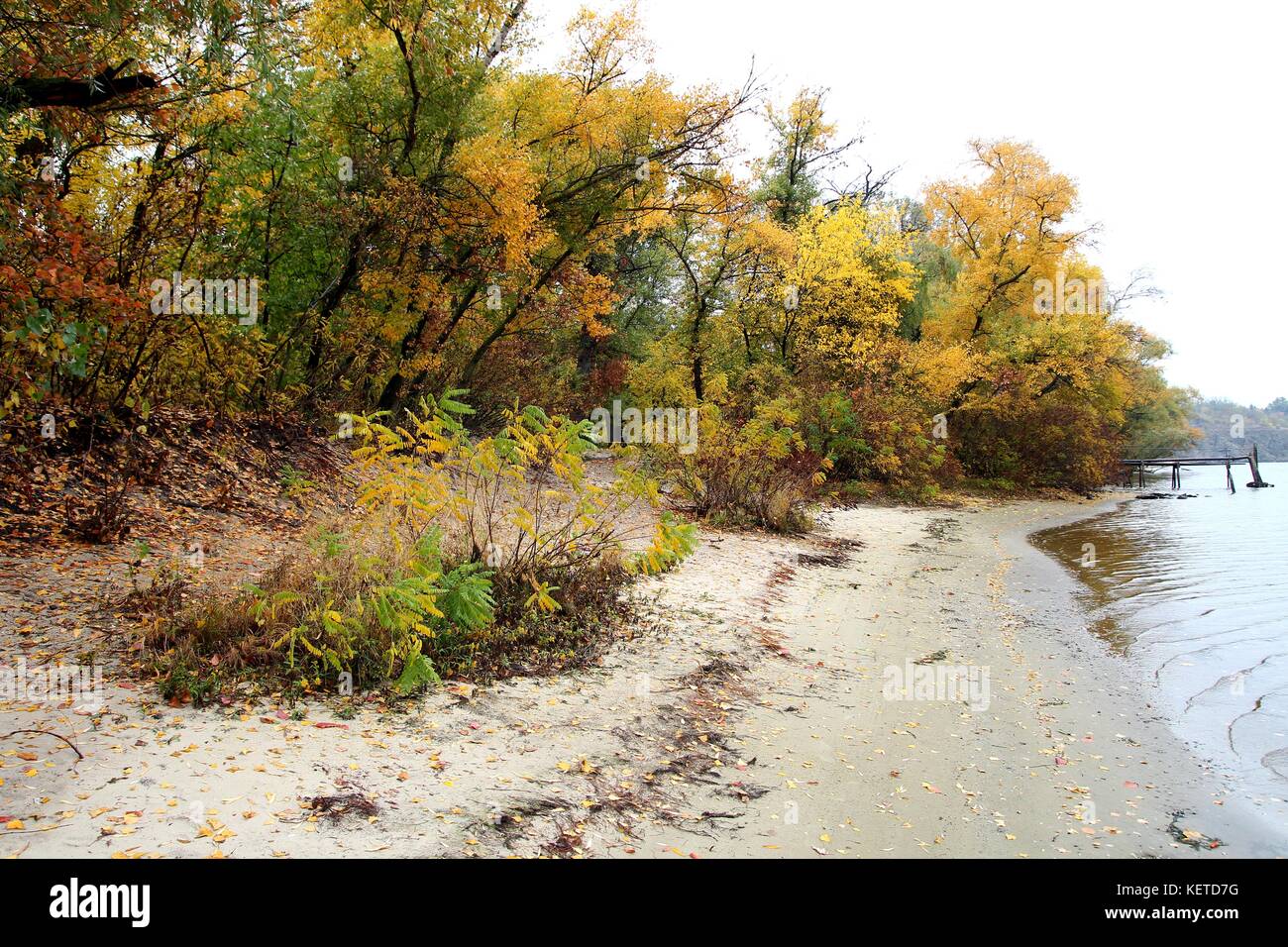 Rainy day impressions hi-res stock photography and images - Alamy