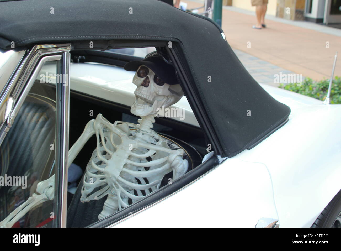Skeleton driving car hi-res stock photography and images - Alamy