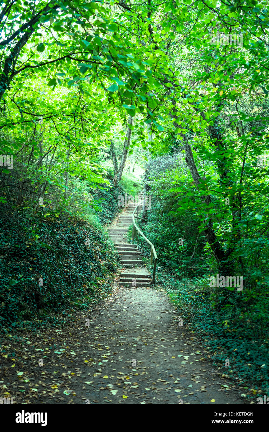 Set out to explore hi-res stock photography and images - Alamy