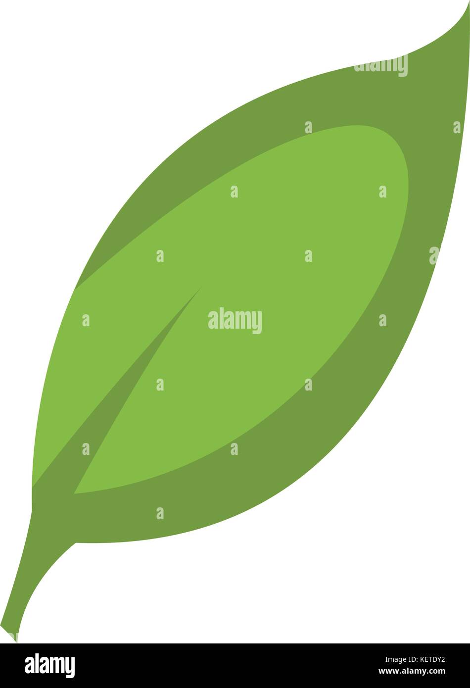 Leaf isolated symbol Stock Vector Image & Art - Alamy