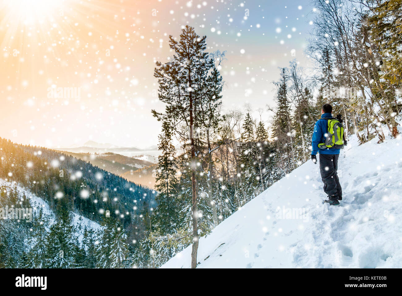 Beautiful winter landscape in the mountains with falling snow and young ...