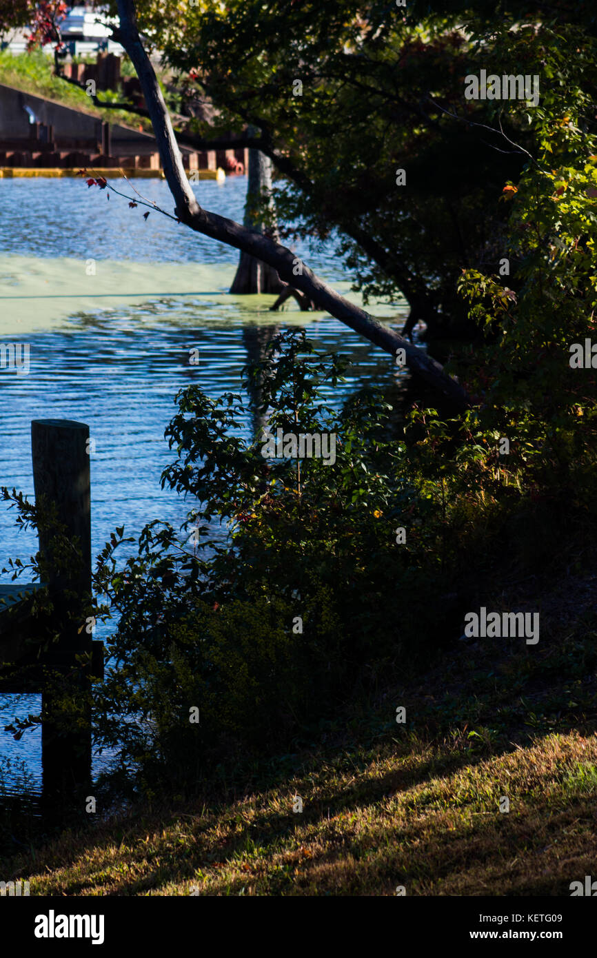 Simple subtleties that life has to offer Stock Photo - Alamy