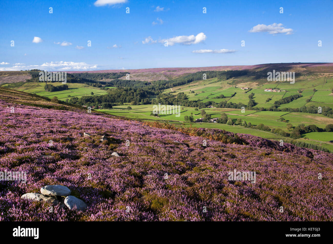 Bransdale hi-res stock photography and images - Alamy