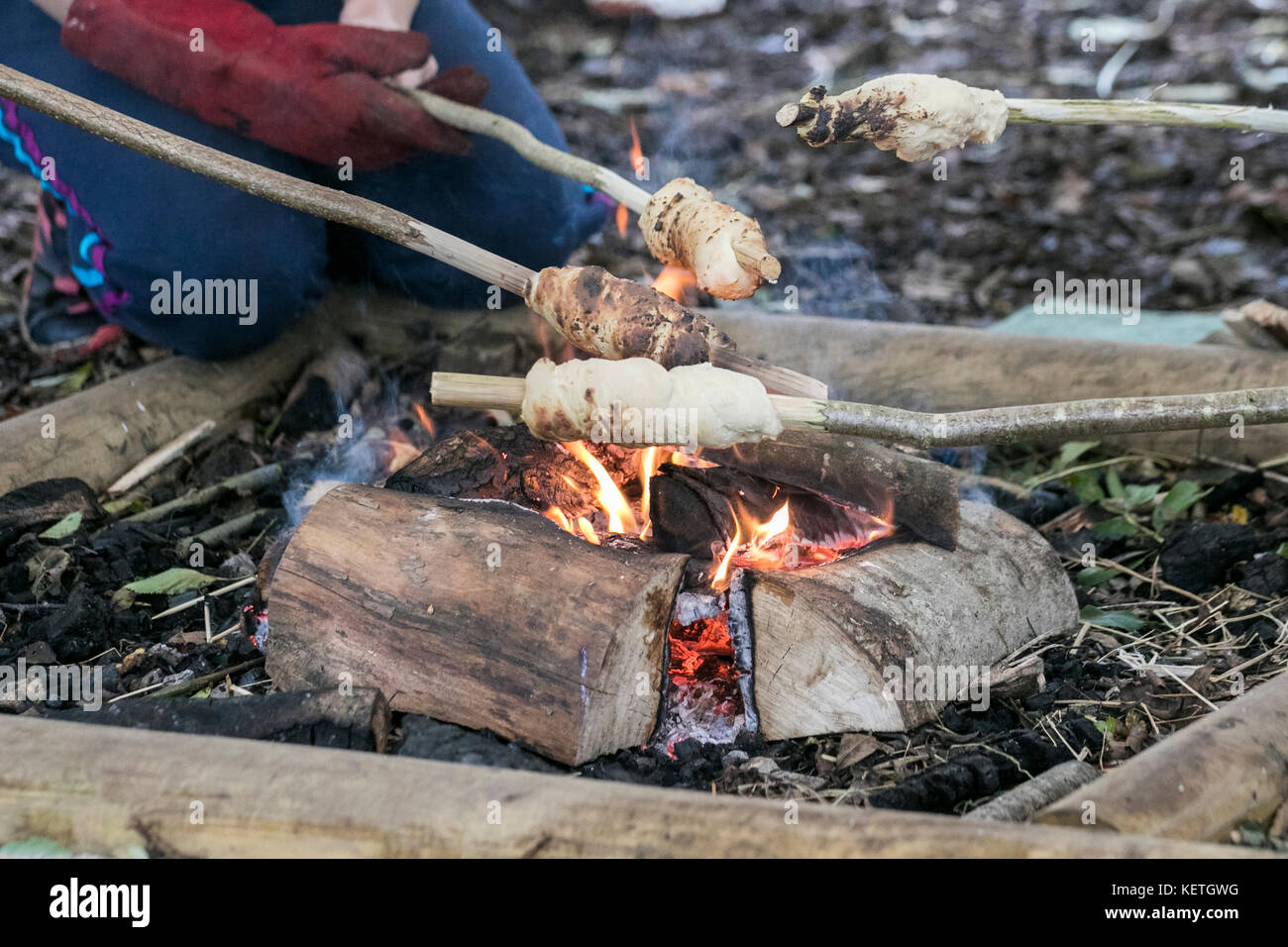 Children cooking food on a woodland camp fire, Brockholes Nature ...
