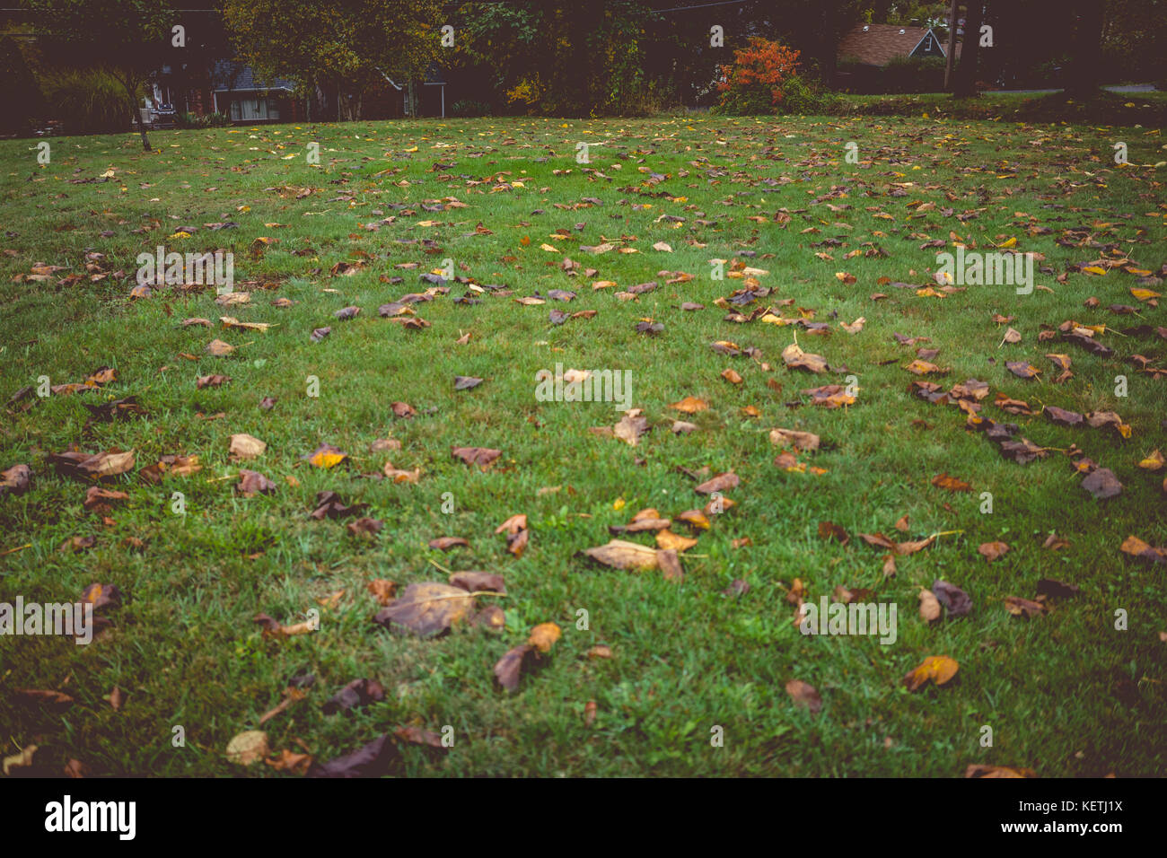 Cold and damp hi-res stock photography and images - Alamy