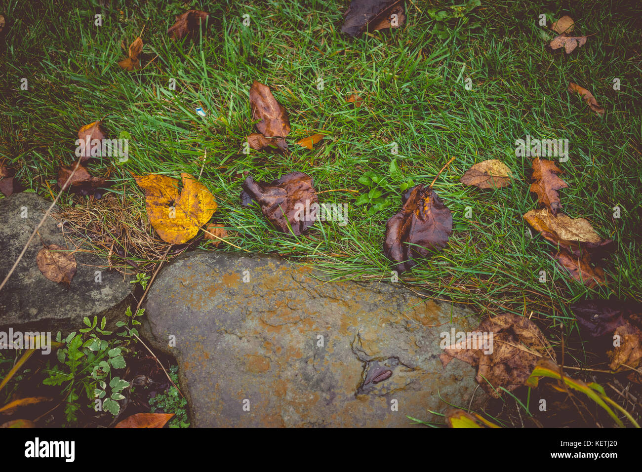 Damp dreary hi-res stock photography and images - Alamy