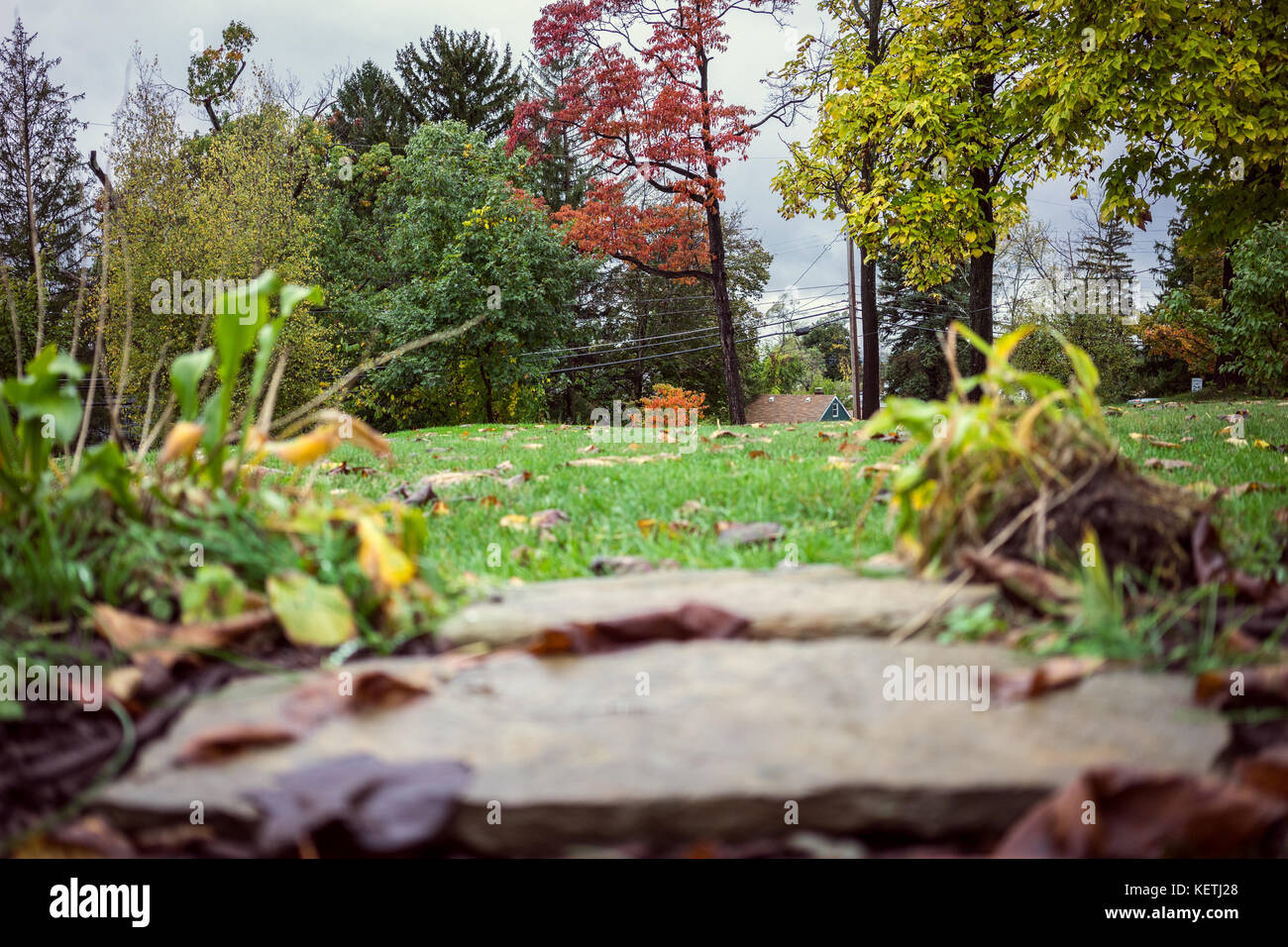 stones into the yard on a damp day Stock Photo - Alamy