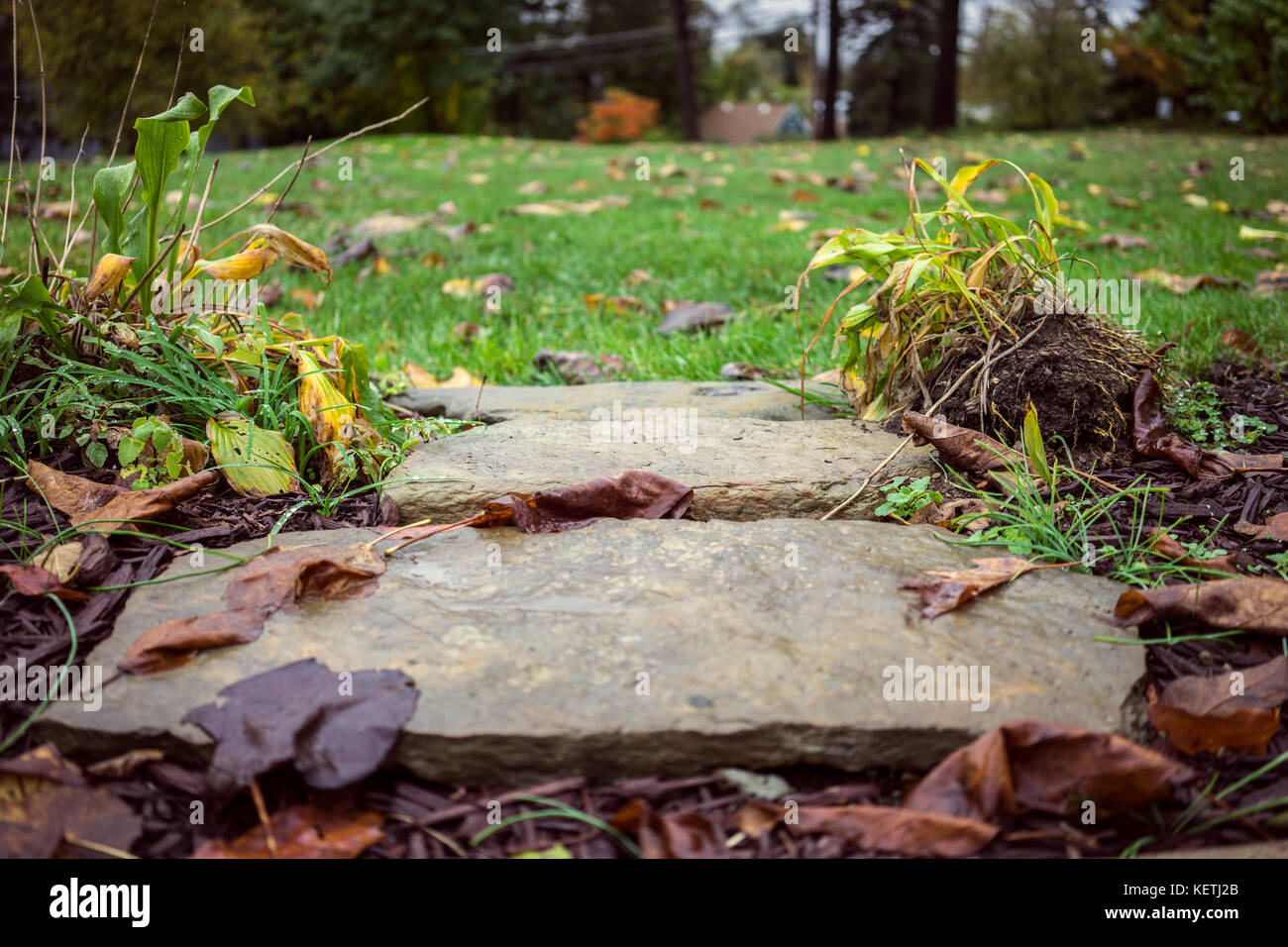 Damp stones hi-res stock photography and images - Alamy