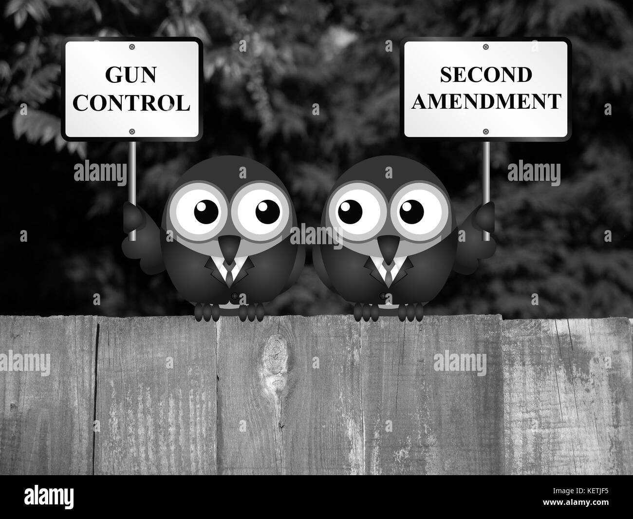 Gun Control V Gun Rights at Kendra Mayes blog