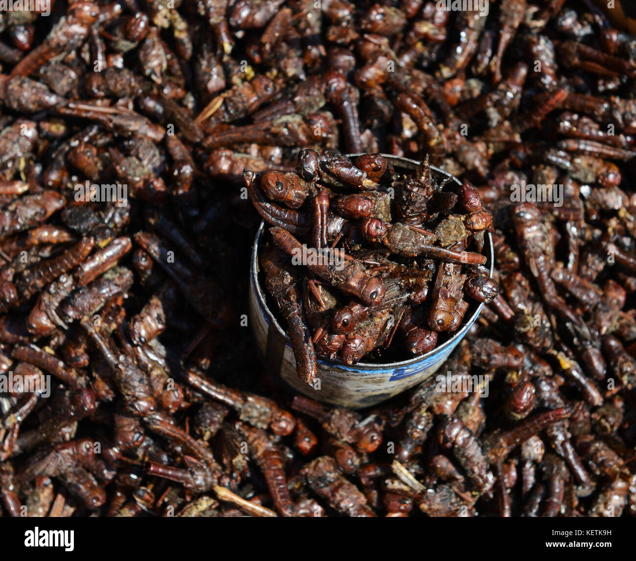 Deep fried locust sold in a market in central Madagascar Stock Photo ...
