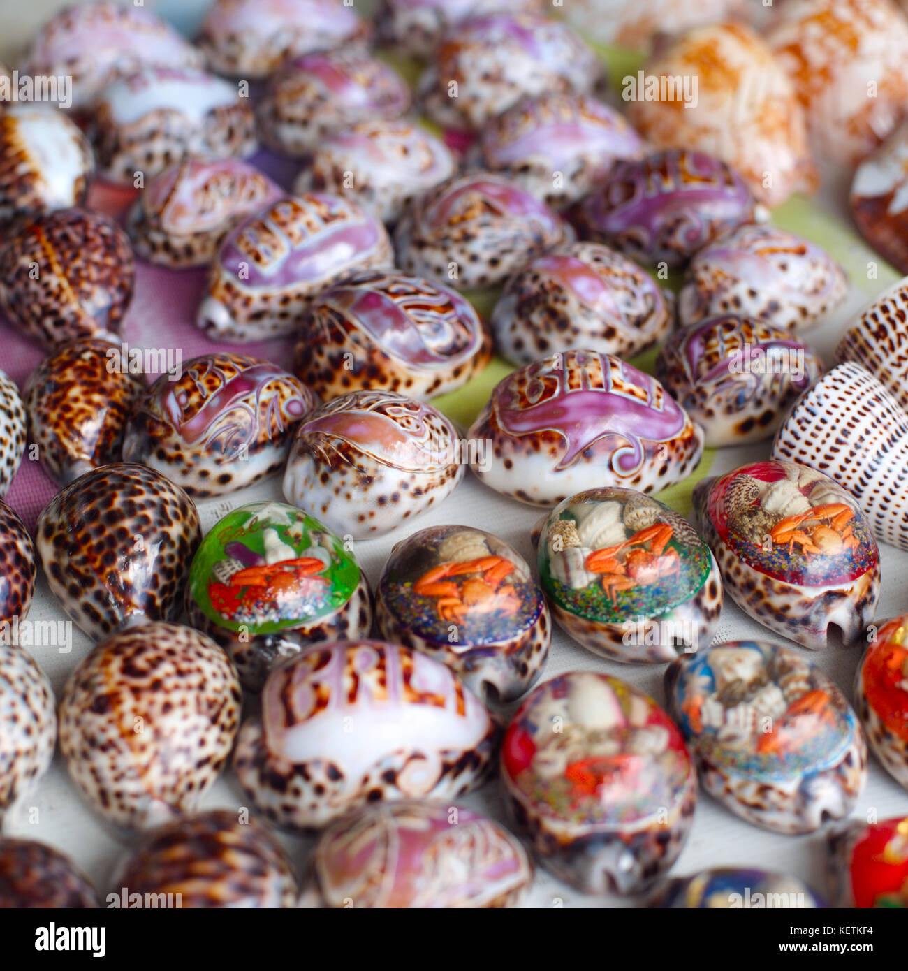 seashells for sale on a beach in Bali to attract tourists looking for a ...