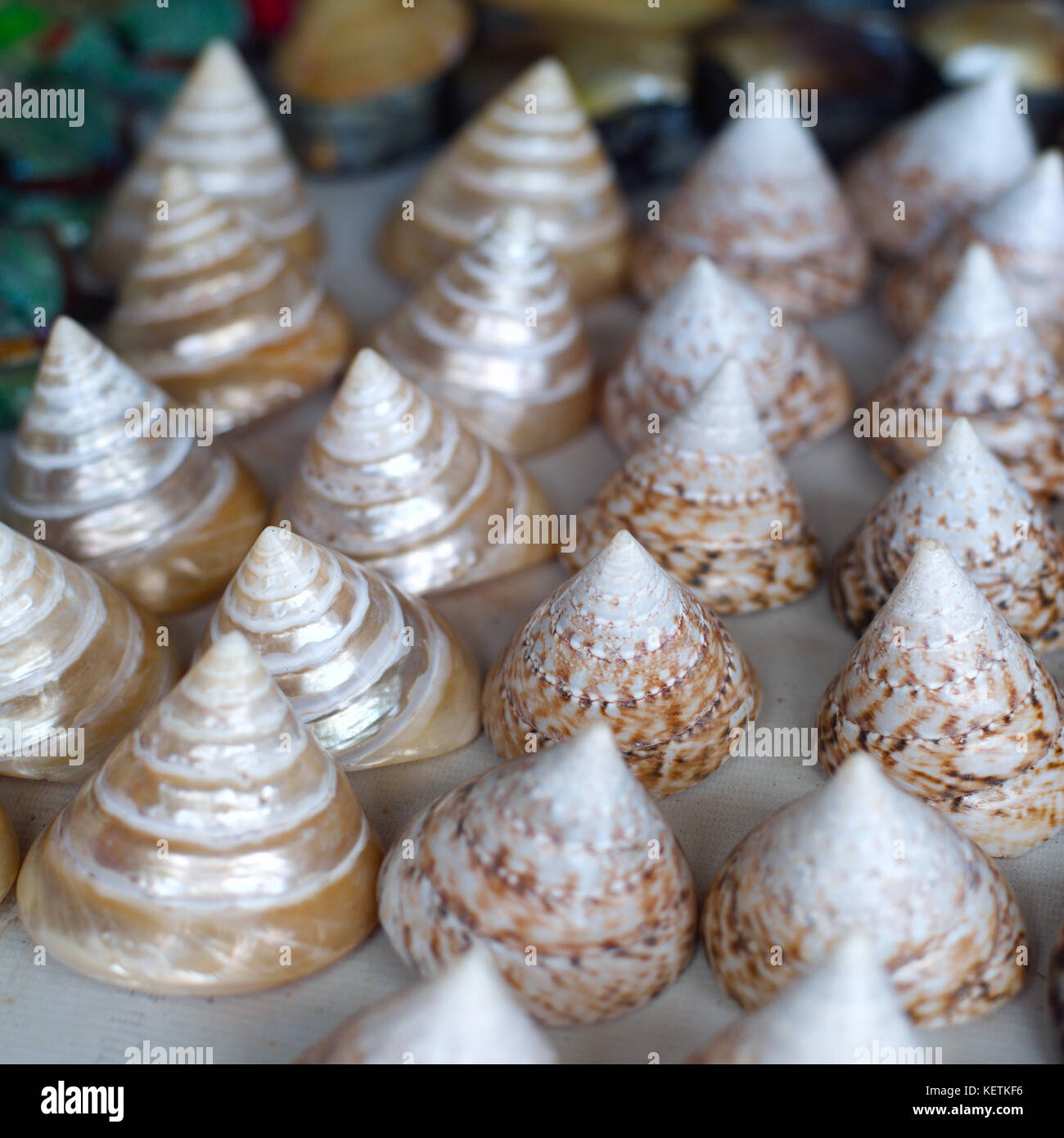 seashells for sale on a beach in Bali to attract tourists looking for a ...