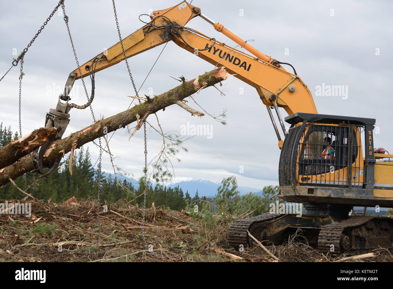 KUMARA, NEW ZEALAND, SEPTEMBER 20, 2017: A digger driver captures a log ...