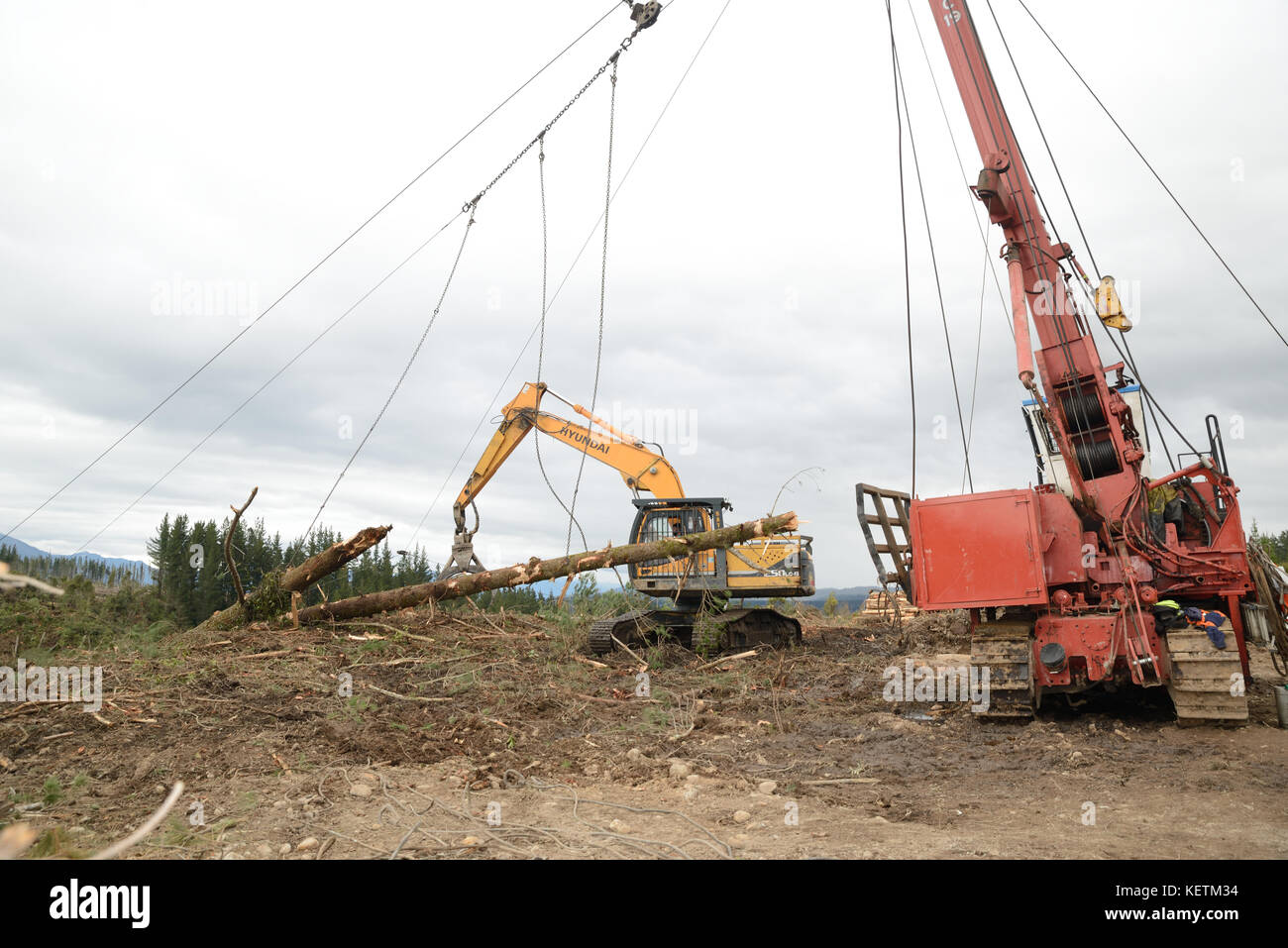 KUMARA, NEW ZEALAND, SEPTEMBER 20, 2017: A digger driver captures a log ...