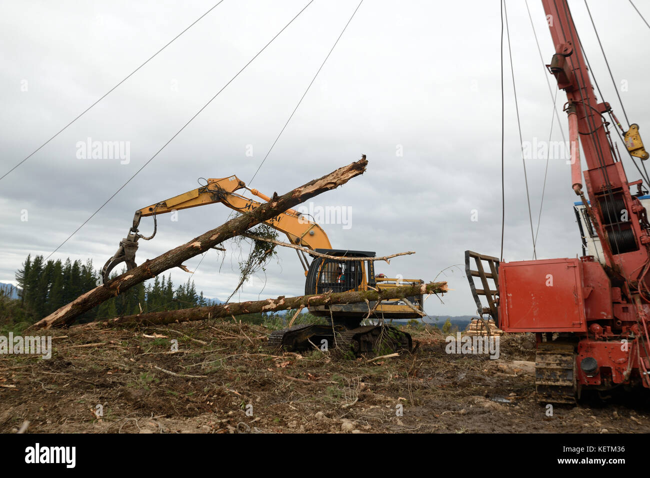 Hauler hi-res stock photography and images - Alamy