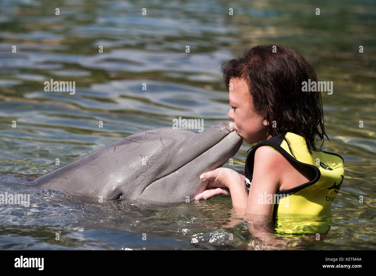 Libbie Smith, 12, from Sheffield, swims with a dolphin during the ...