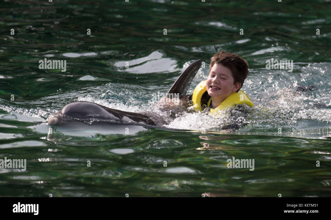 Dan Warne, 9, Norwich Norfolk, swims with a dolphin during the ...