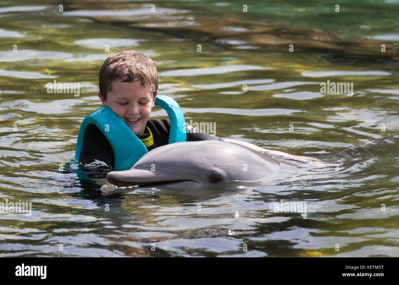 Joseph Clements, 11, From Liverpool, swims with a dolphin during the ...