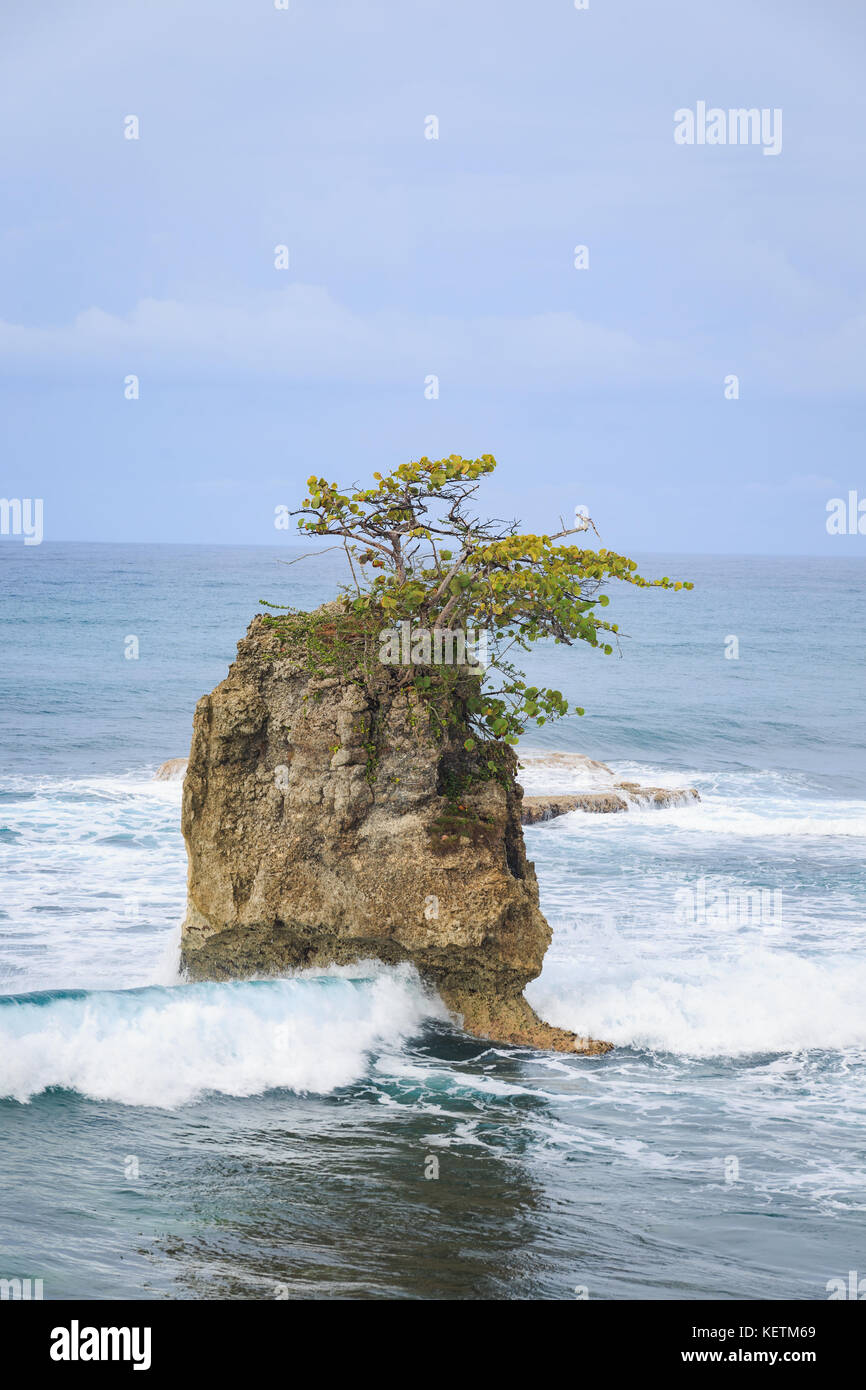 Rock formation at Manzanillo Costa Rica Stock Photo - Alamy