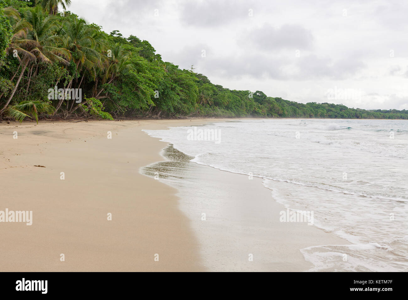 Tropical paradise beach Costa Rica Stock Photo - Alamy