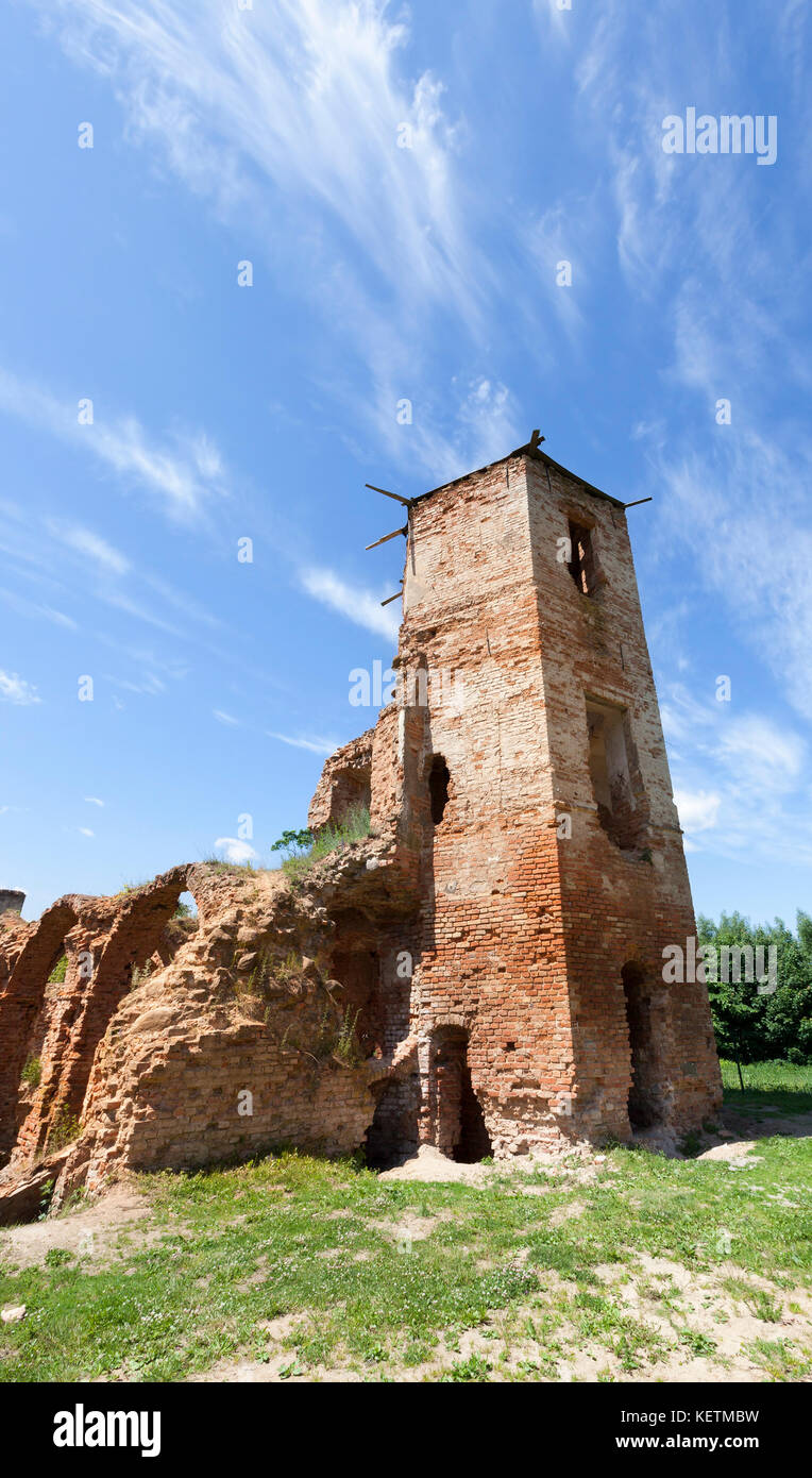 ruins Palace, Belarus Stock Photo - Alamy