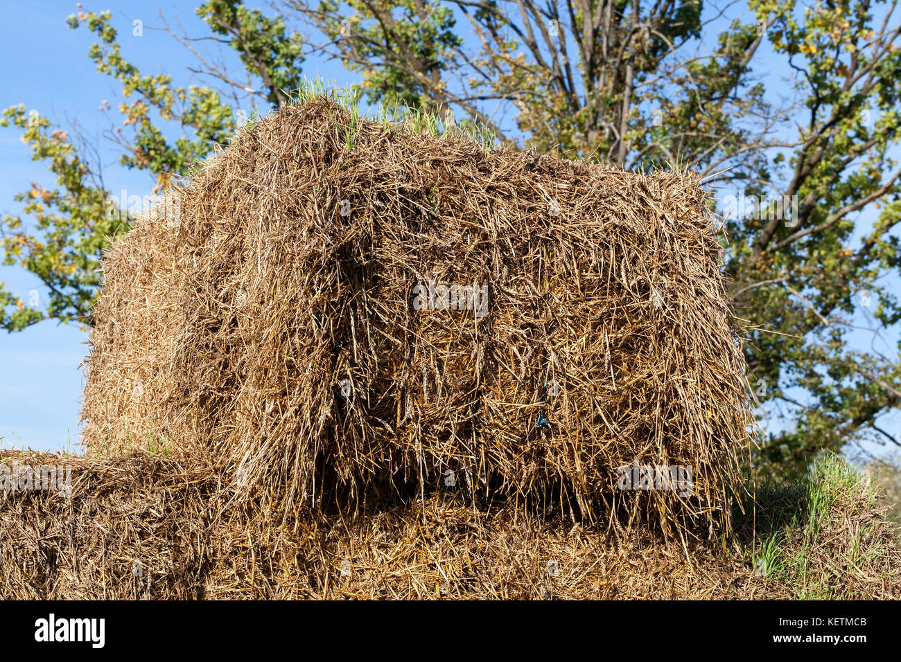 square stack of straw Stock Photo - Alamy