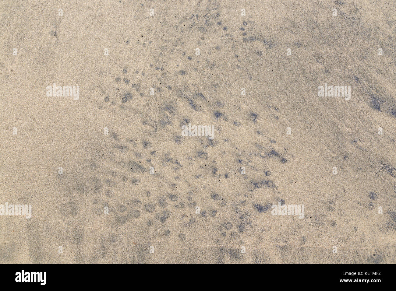 Wet sand patterns Stock Photo - Alamy