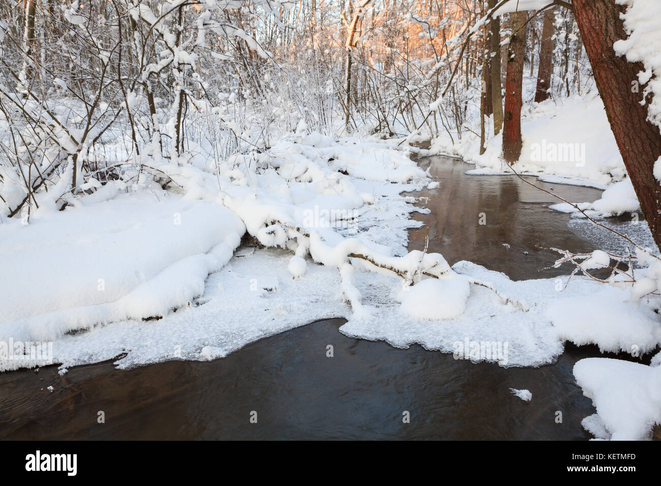 Small forest stream partially hi-res stock photography and images - Alamy