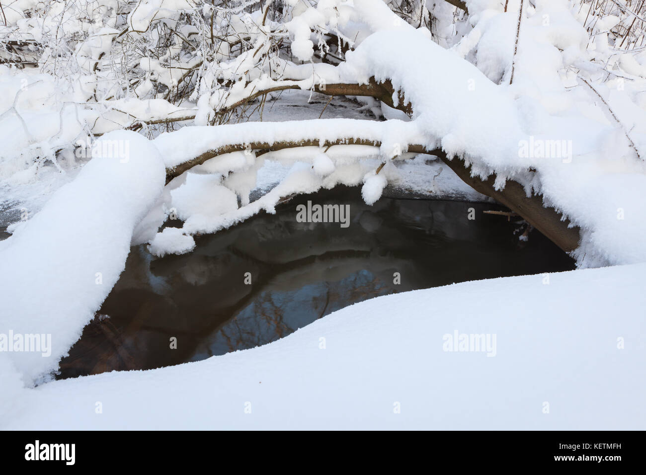 Small forest stream partially hi-res stock photography and images - Alamy