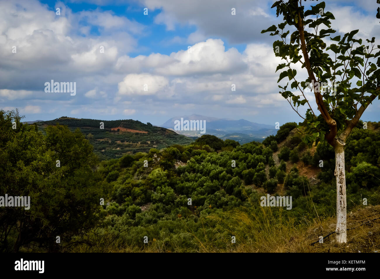 View of the green countryside of the island of Crete in Greece Stock ...