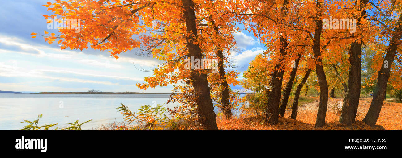 Golden autumn scene in hi-res stock photography and images - Alamy