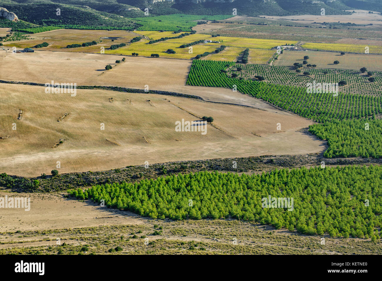 Plain crop hi-res stock photography and images - Alamy